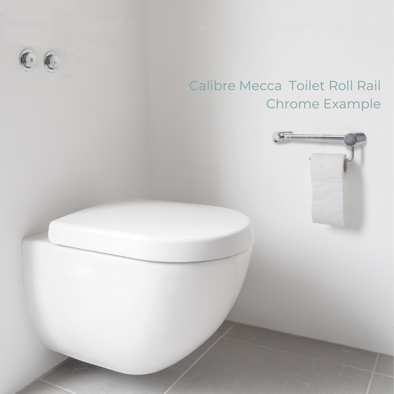 CALIBRE MECCA 32MM GRAB RAIL WITH TOILET ROLL HOLDER 450MM – Avail Design